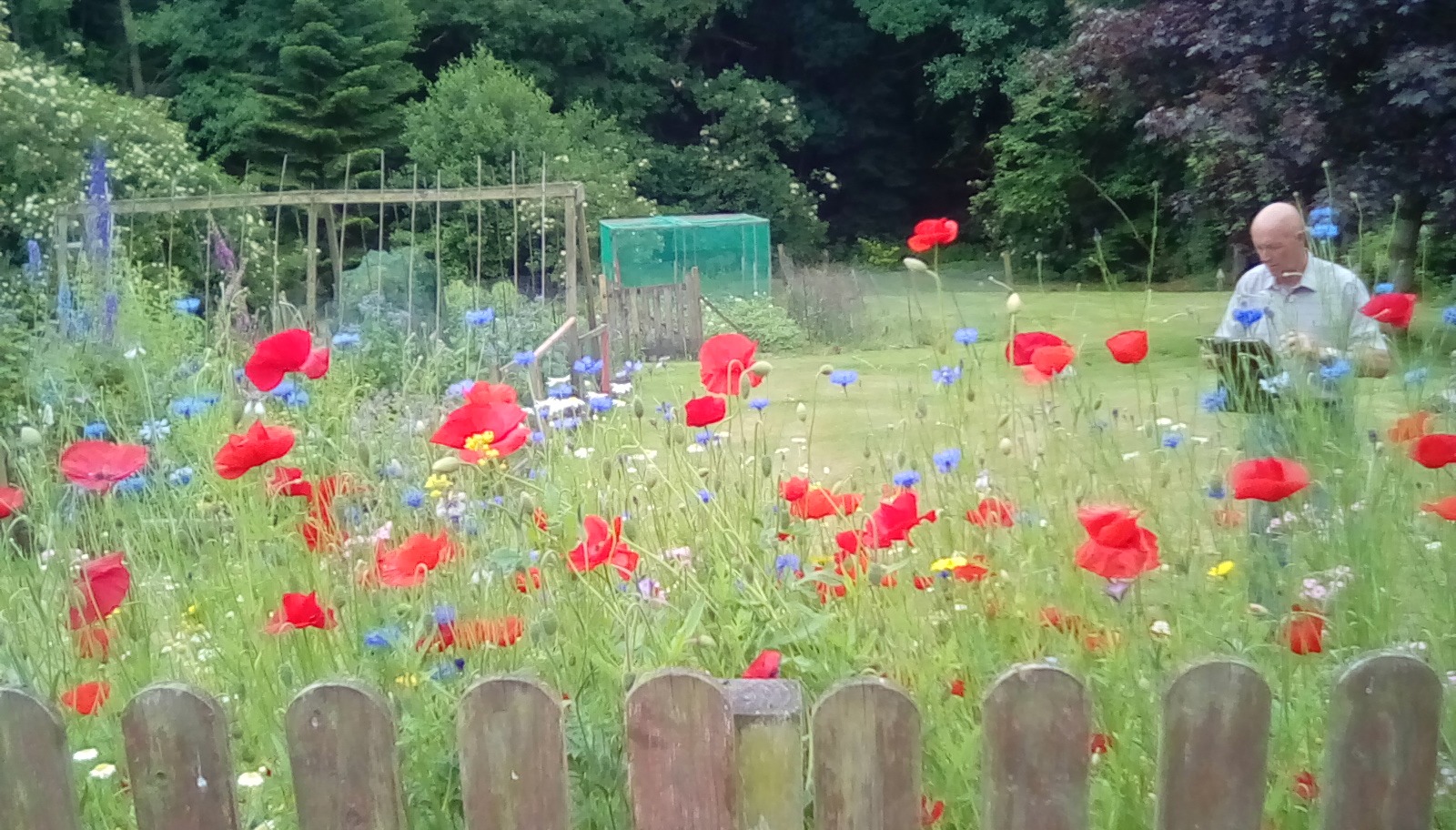 The Village of Lost and Found: The perfect uplifting, feel-good read ...