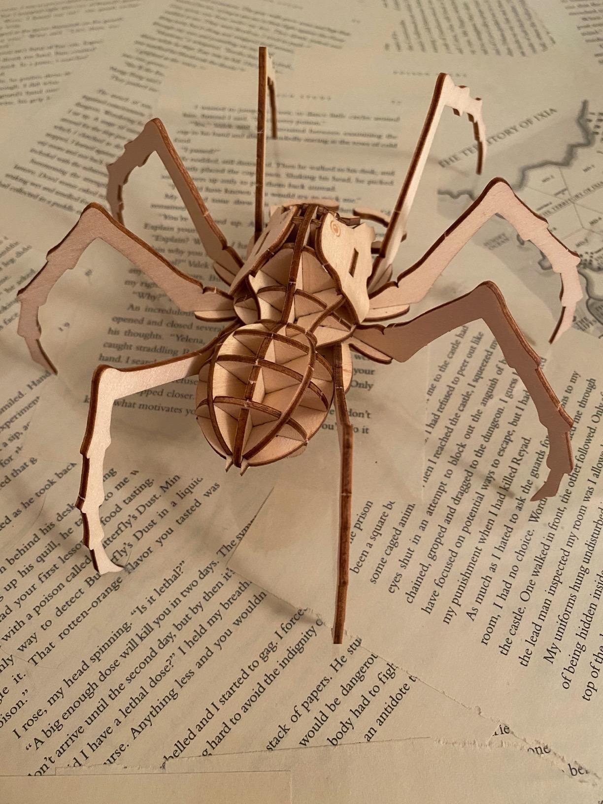 Amazon.com: IncrediBuilds: Harry Potter: Aragog Deluxe Book and Model ...