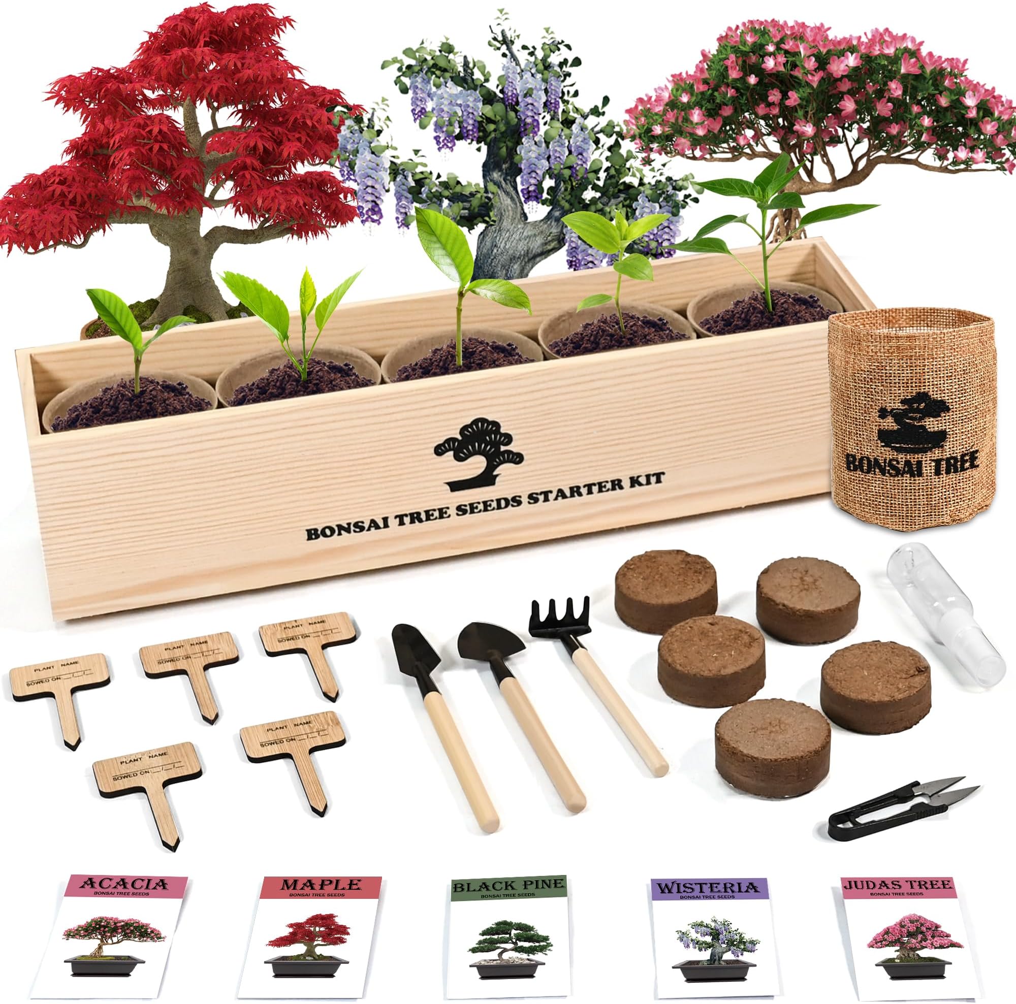 Amazon.com : REALPETALED Bonsai Starter Kit – Japanese Bonsai Tree Kit ...