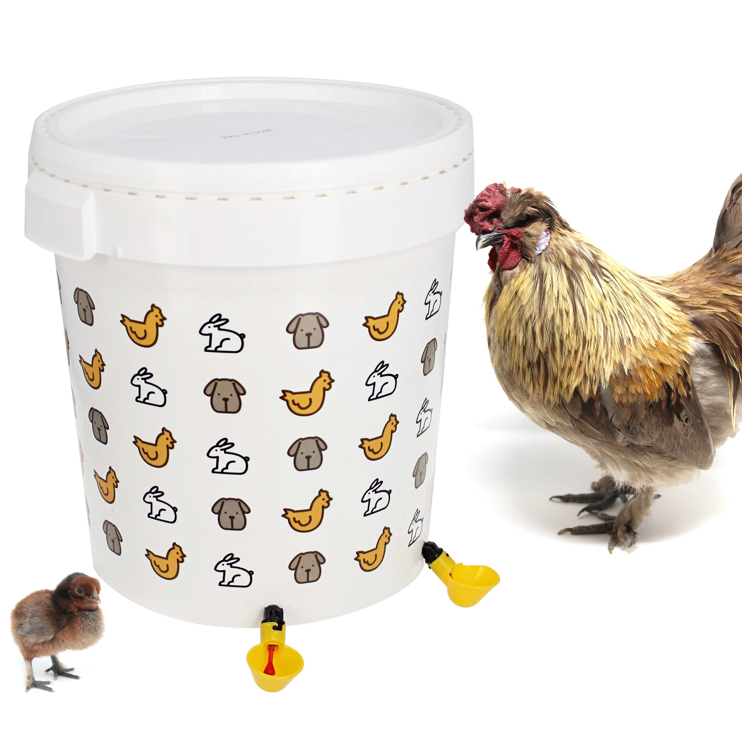 Backyard Chicken Watering Systems