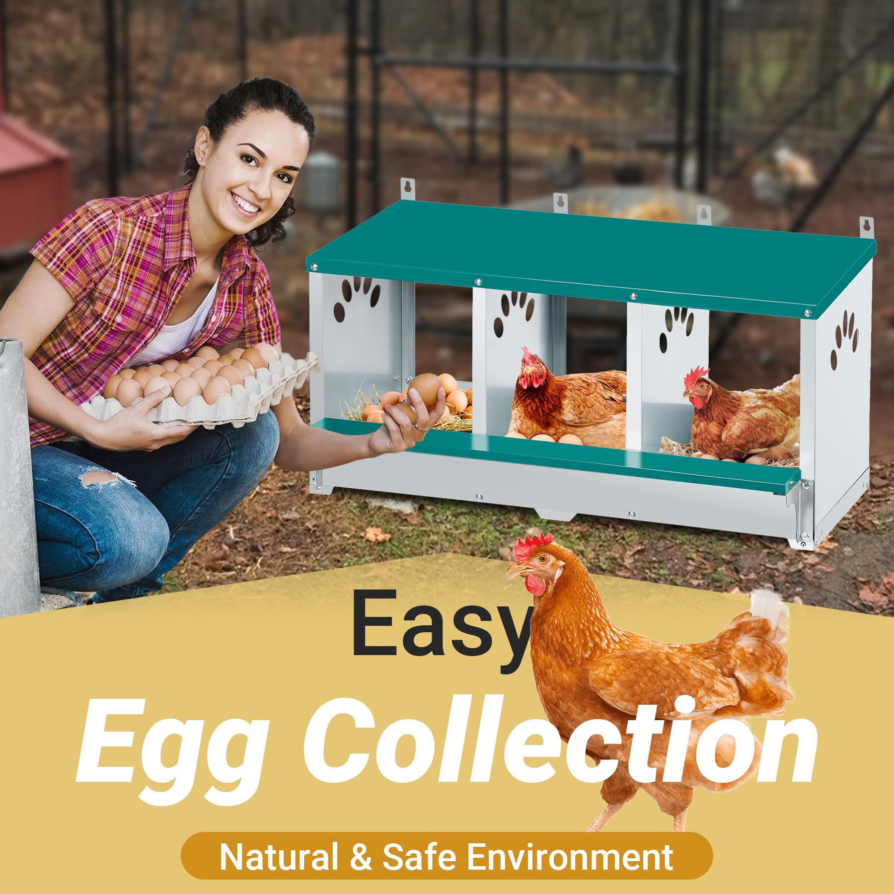 Snapklik.com : Chicken Nesting Box, 3 Compartment Metal Nesting Box, 3 ...