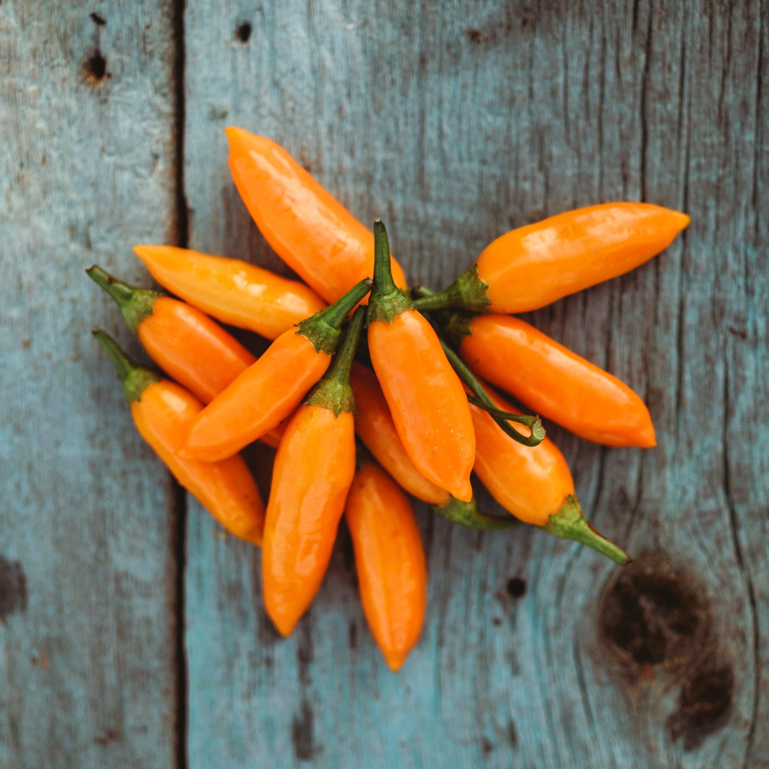 Amazon.com : Aji Amarillo Peruvian Chile Pepper - 25 Seeds - Heirloom ...