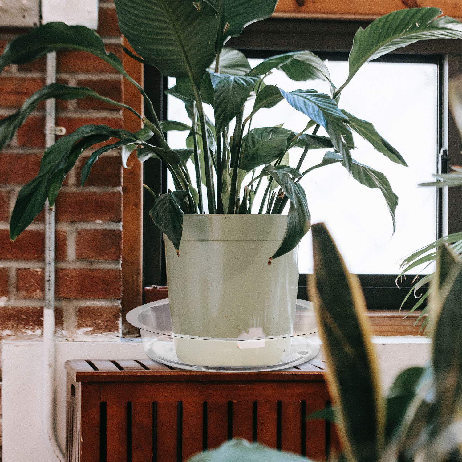 Snapklik.com : Plant Saucer,5 Pack Heavy Duty Plastic Plant Saucer Drip ...