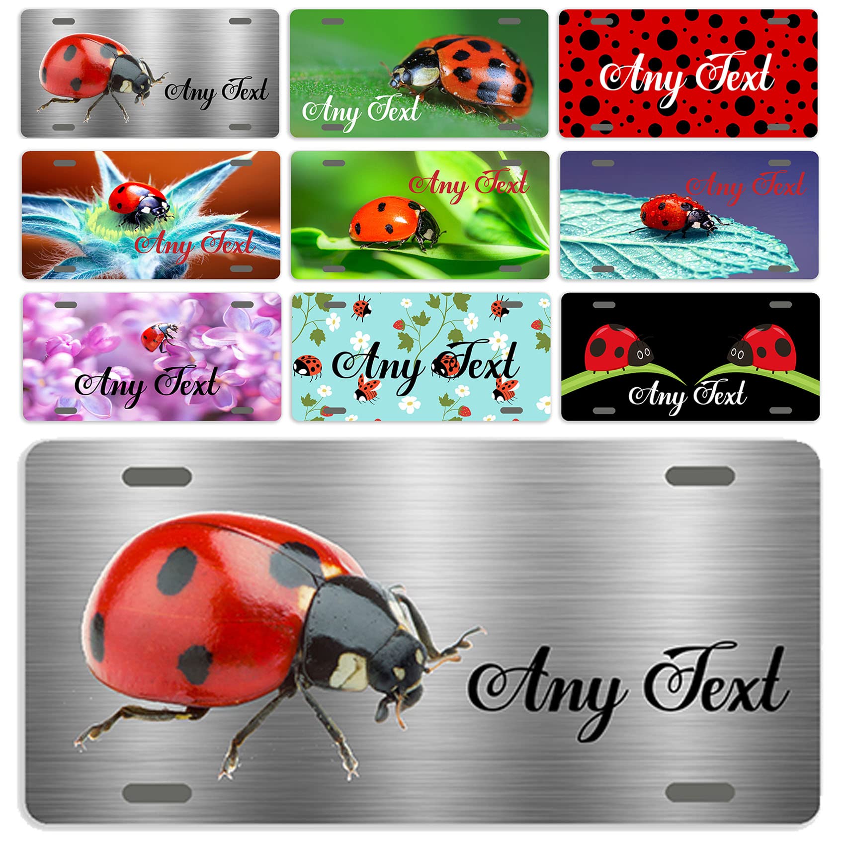 License Plate Ladybug I Think I Made A HUGE Discovery | Fandom