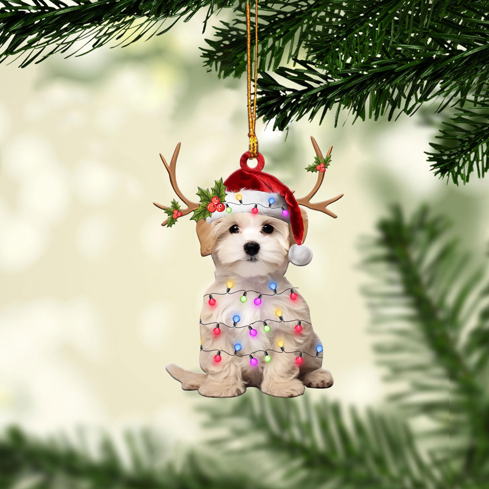 Amazon.com: Talataca Maltipoo 2D Flat Christmas Ornament, Maltese ...
