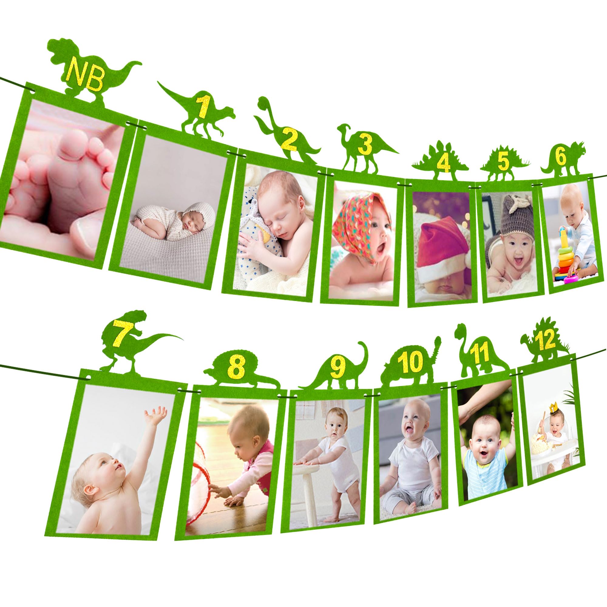 Snapklik.com : Dinosaur Monthly Photo Banner Dinosaur 12 Month Banner ...