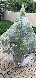 Amazon.com : BKDMZZMY Garden Netting with Drawstring and Zipper, 5.9x6.6FT Plant Cover Net Bag ...