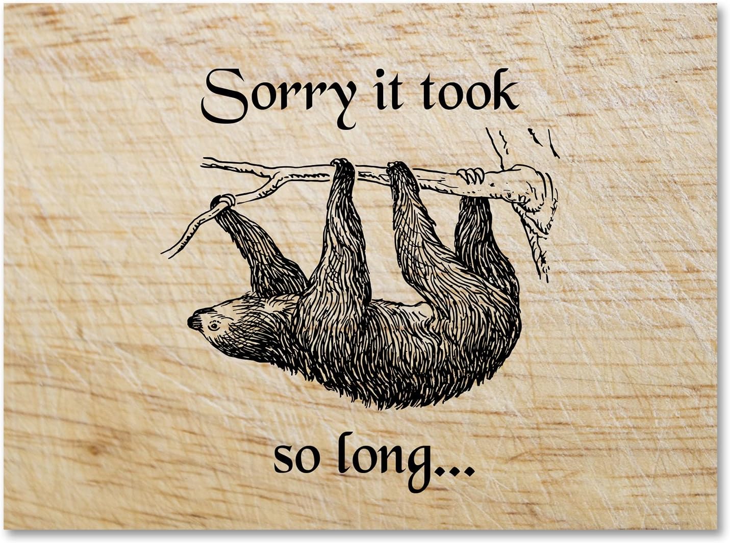 Amazon.com : Small World Greetings Sorry It Took So Long Turtle Cards ...