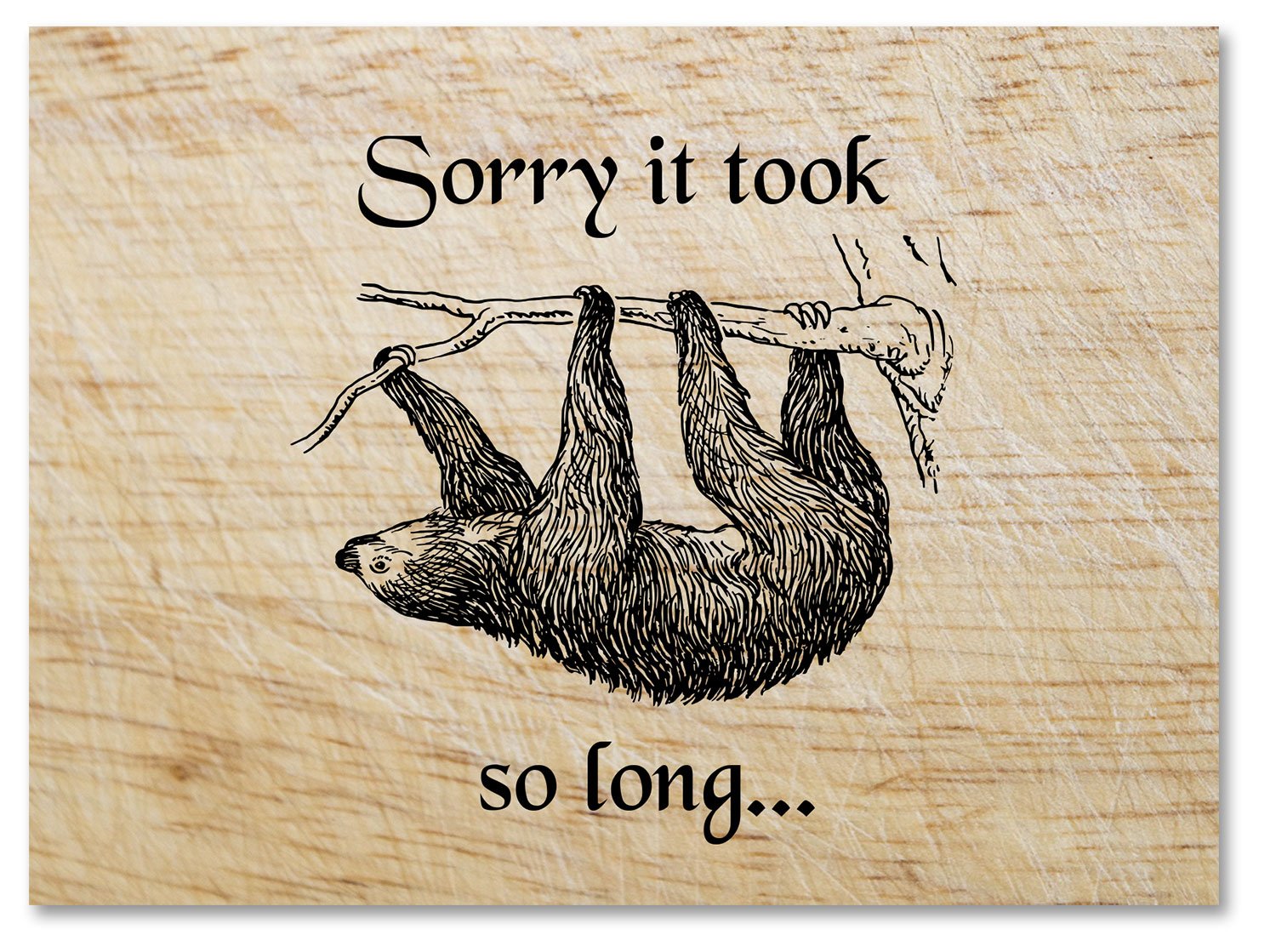 Amazon.com : Small World Greetings Sorry It Took So Long Sloth Greeting ...
