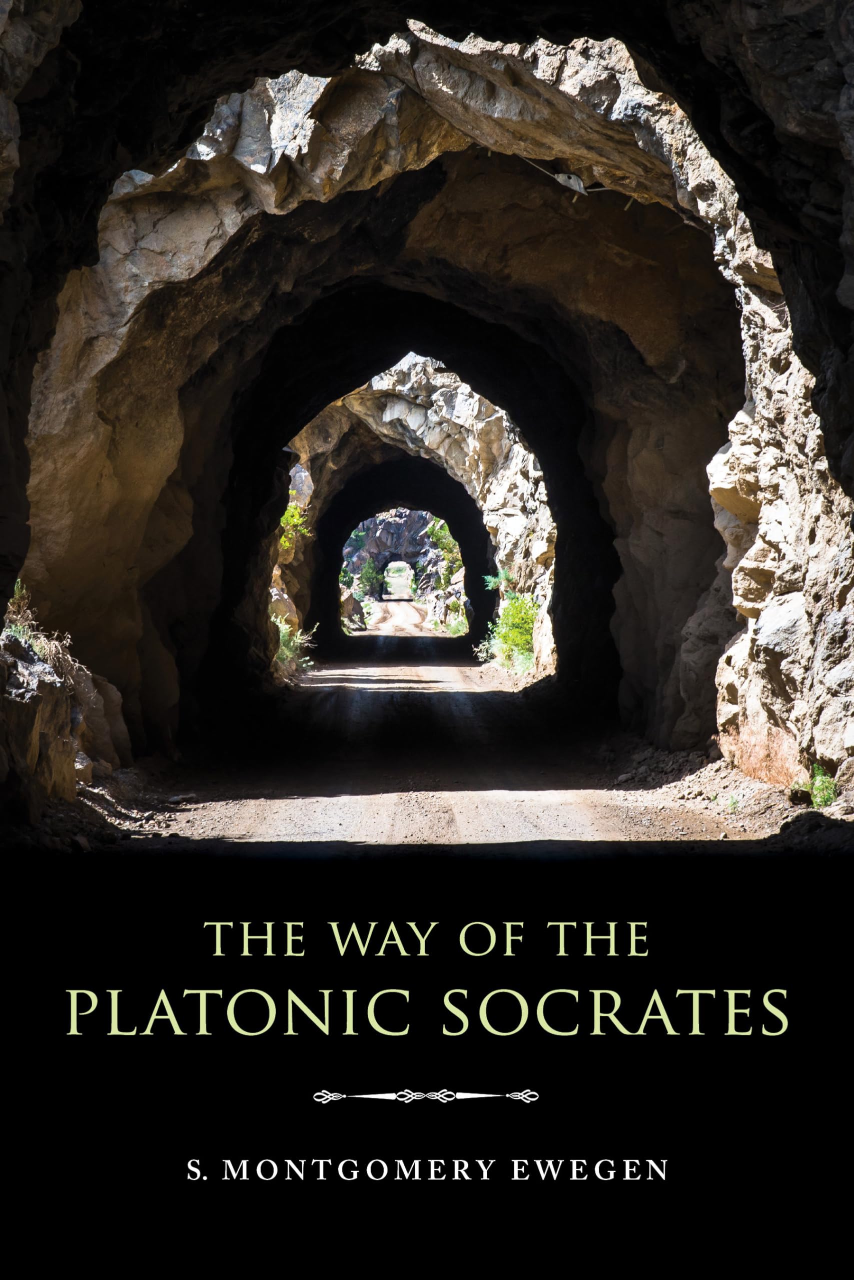 The Way of the Platonic Socrates (Studies in Continental Thought ...