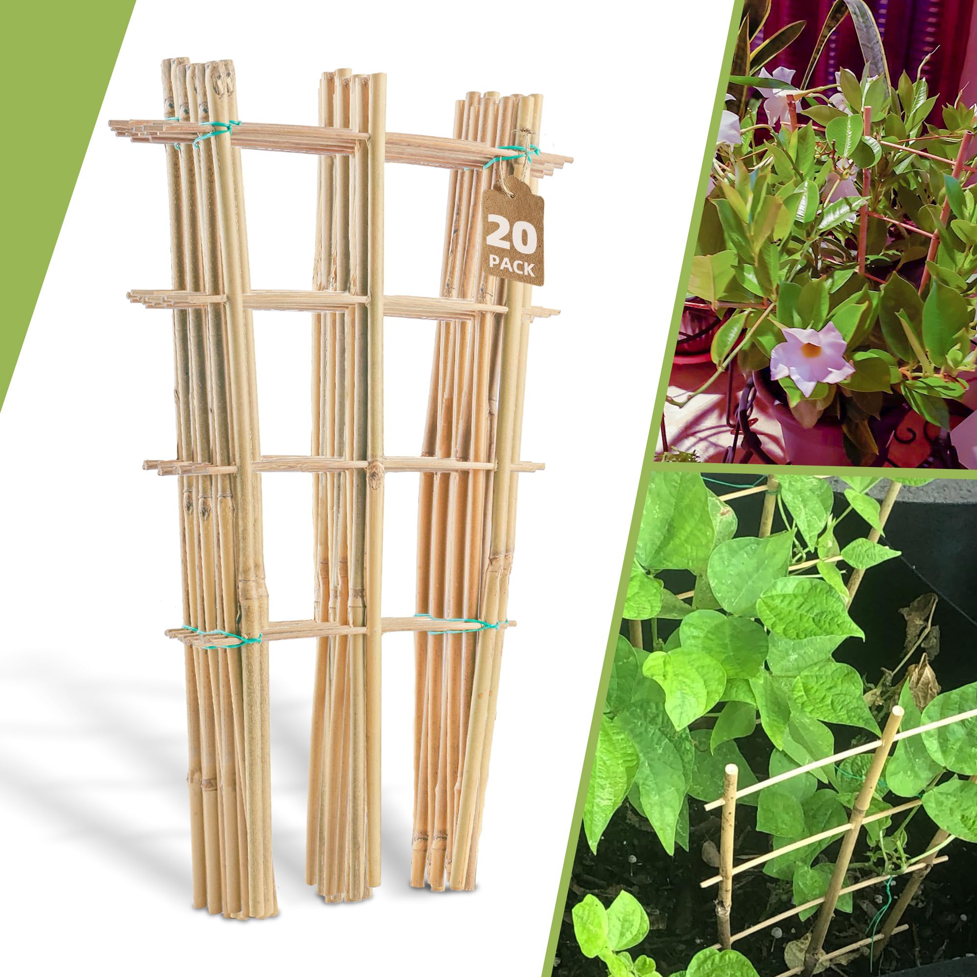 Snapklik.com : 20 Pack 16" Bamboo Trellis For Climbing Plants-Natural ...