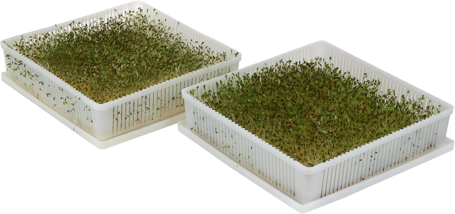 Amazon.com: Victorio 4-Tray Seed Sprouter VKP1014 : Patio, Lawn & Garden