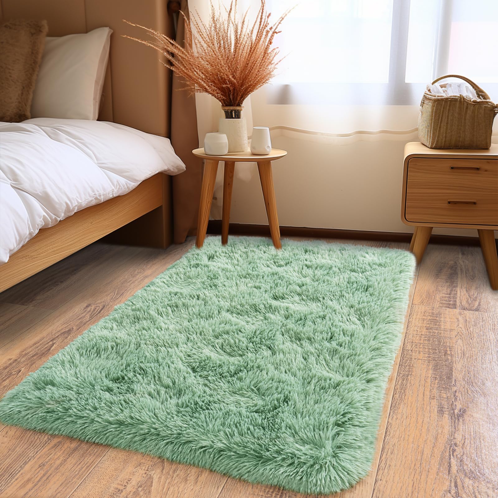 Amazon.com: Pionblank Fluffy Small Rug for Bedroom 2x3 Feet, Shag Soft ...