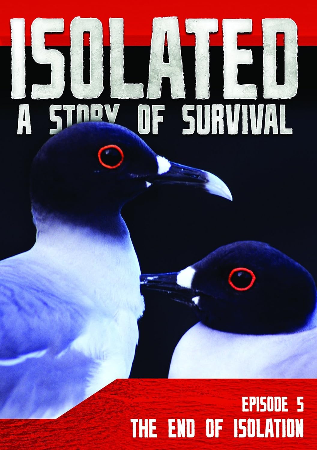 Isolated End Of Isolation [DVD] [Region 1] [NTSC] [US Import]: Amazon ...