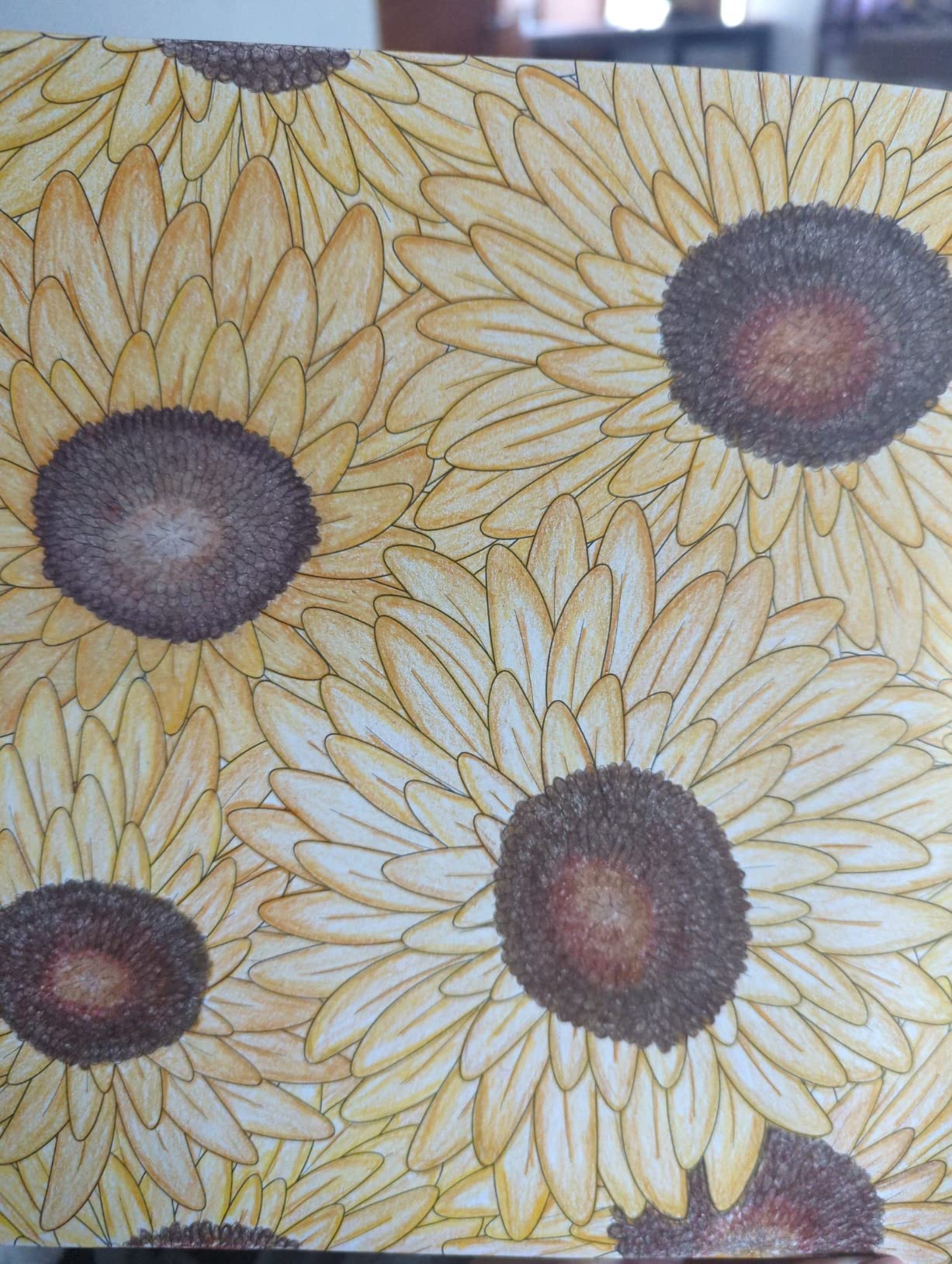 Amazon.com: Kaisercraft KaiserColour Perfect Bound Coloring Book-Ever ...