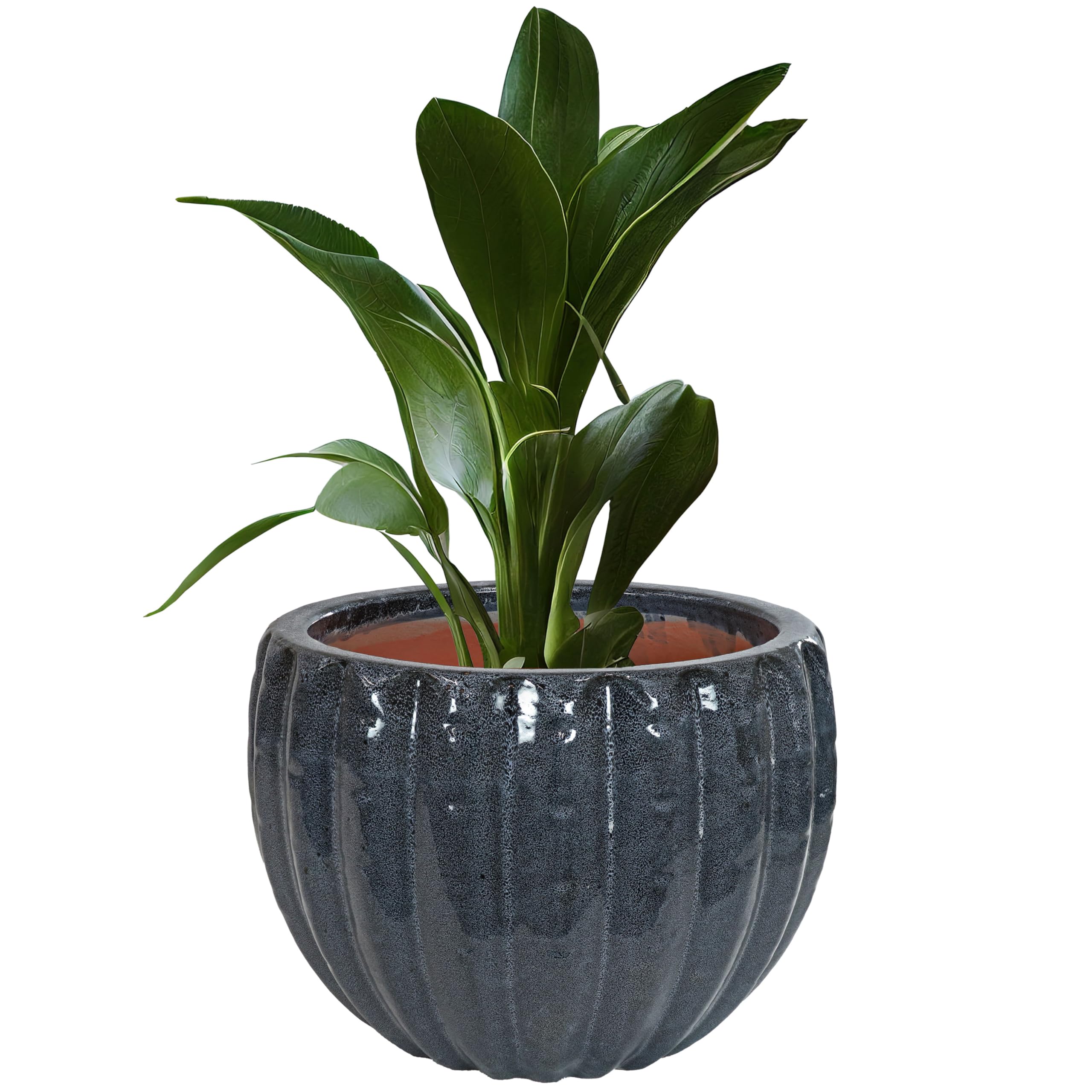 Amazon.com: Sunnydaze 13.5" Fluted Ceramic Plant Pot - Features 1 ...