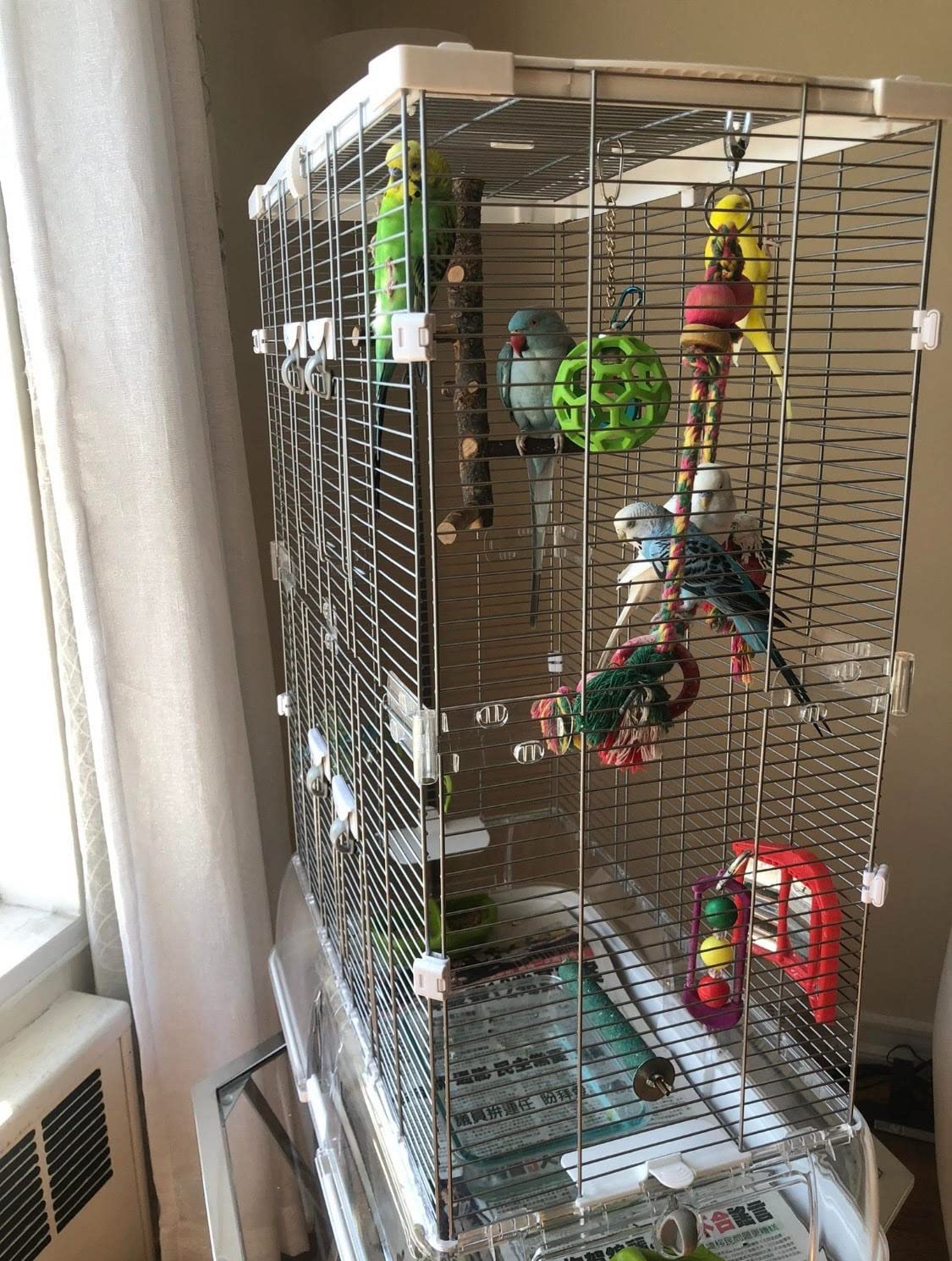 $26/mo - Finance Vision Wire Bird Cage, Bird Home for Parakeets ...