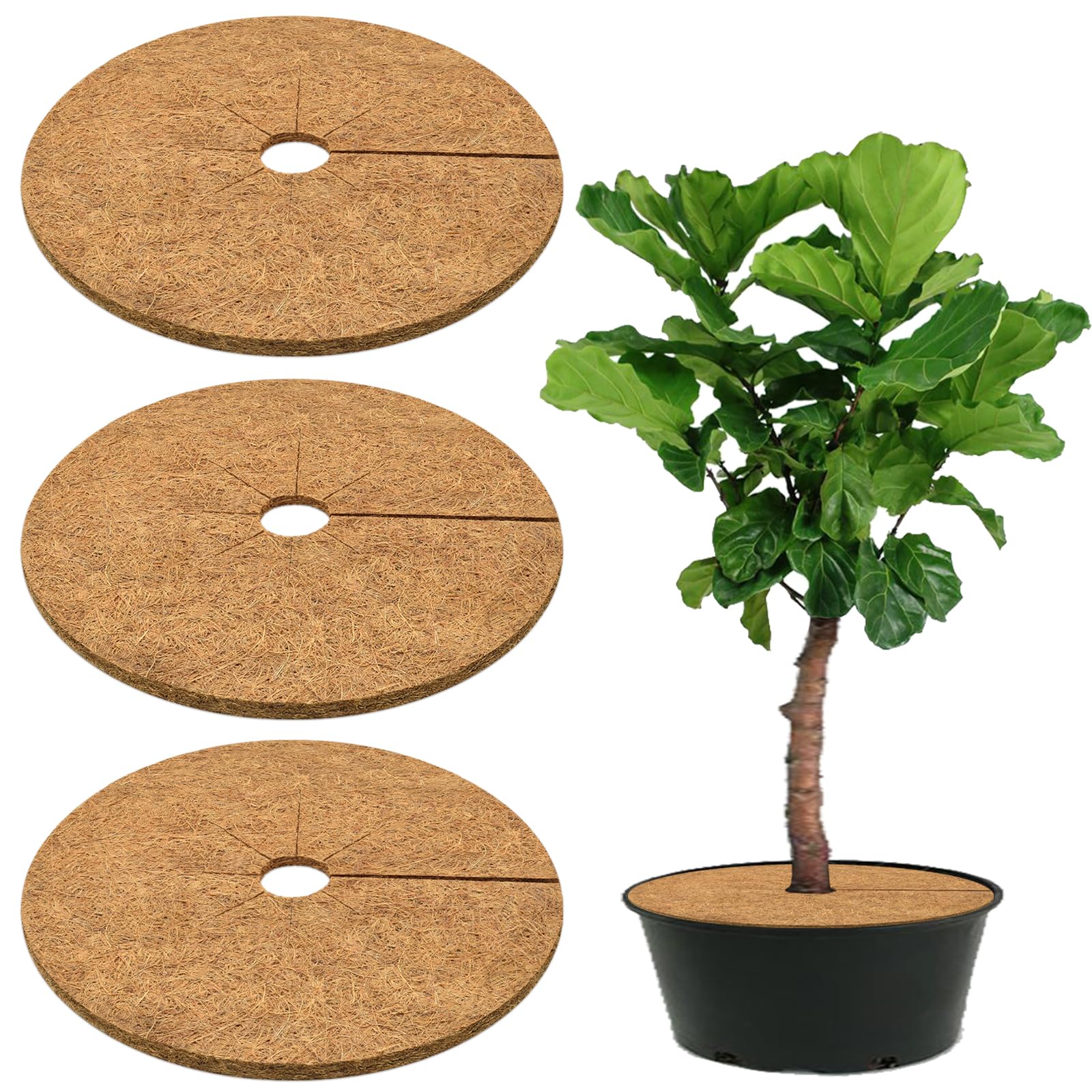 Amazon.com : ZeeDix 3 Pcs Coconut Fiber Mulch Ring, 30 Inch Coco Coir ...