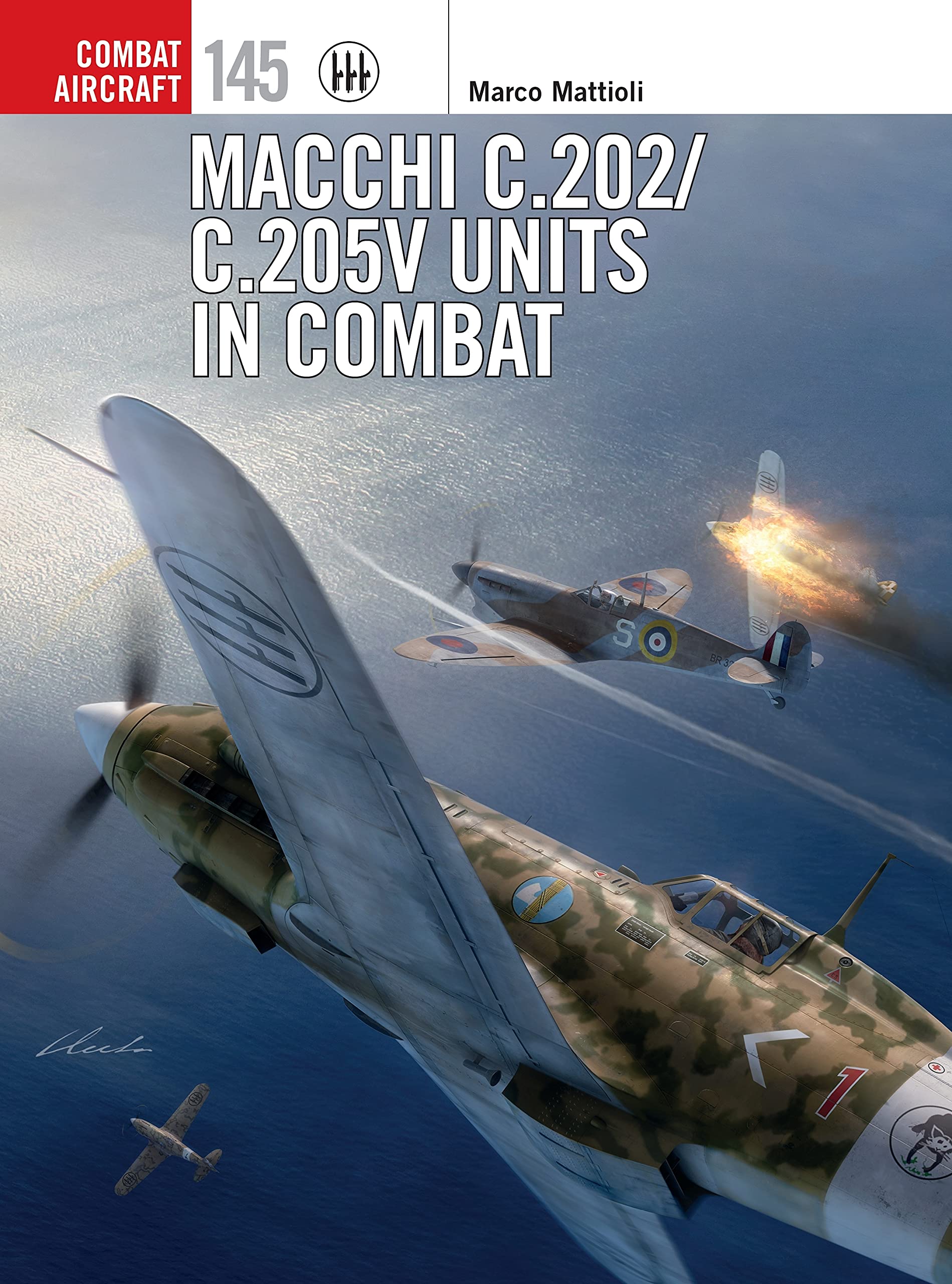 Macchi C.202/C.205V Units in Combat (Combat Aircraft, 145): Mattioli ...