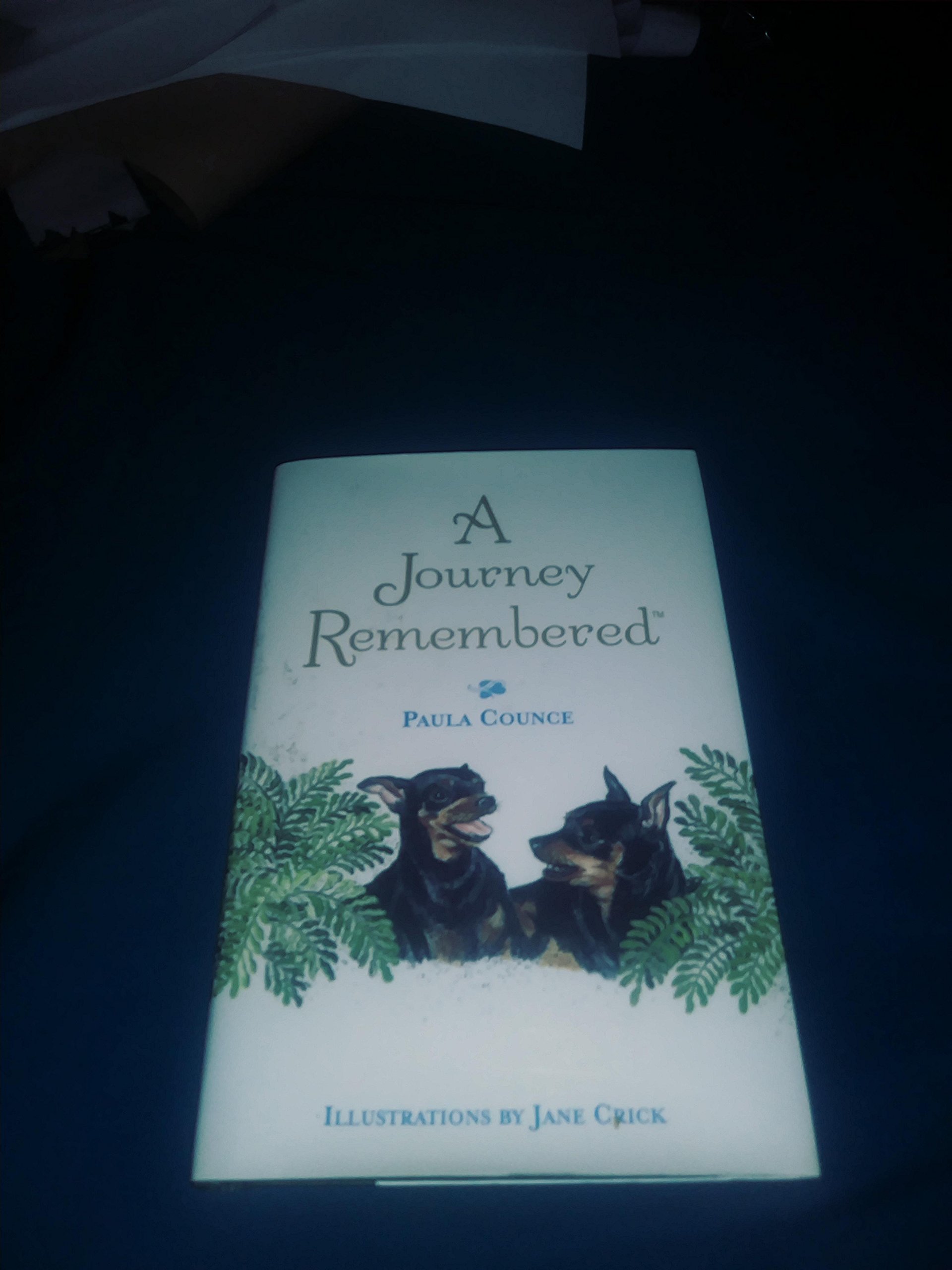 A Journey Remembered: Paula Counce, Jane Crick: 9780976277606: Amazon ...