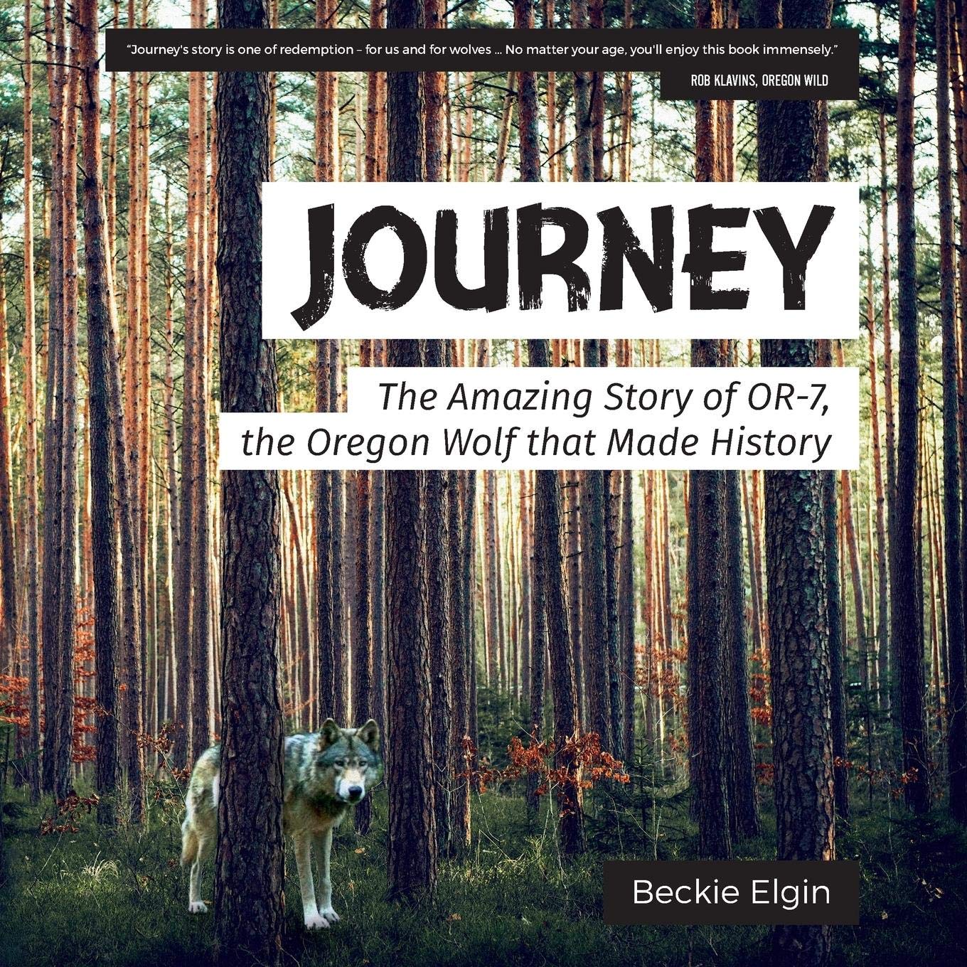 Amazon.com: Journey: The Amazing Story of OR-7, the Oregon Wolf that ...