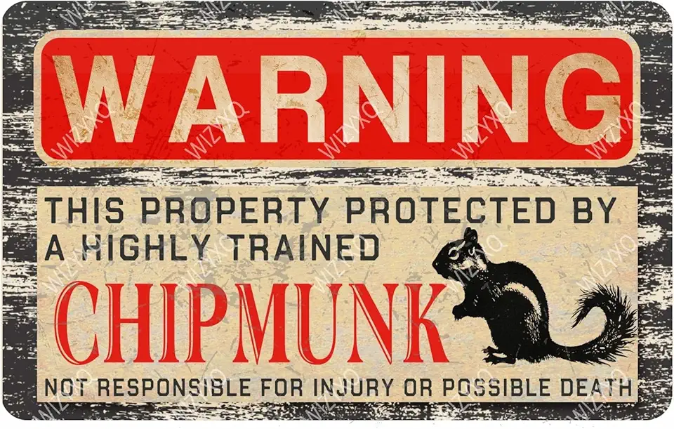 Can Chipmunks Carry Disease? Common Myths Debunked | PetShun
