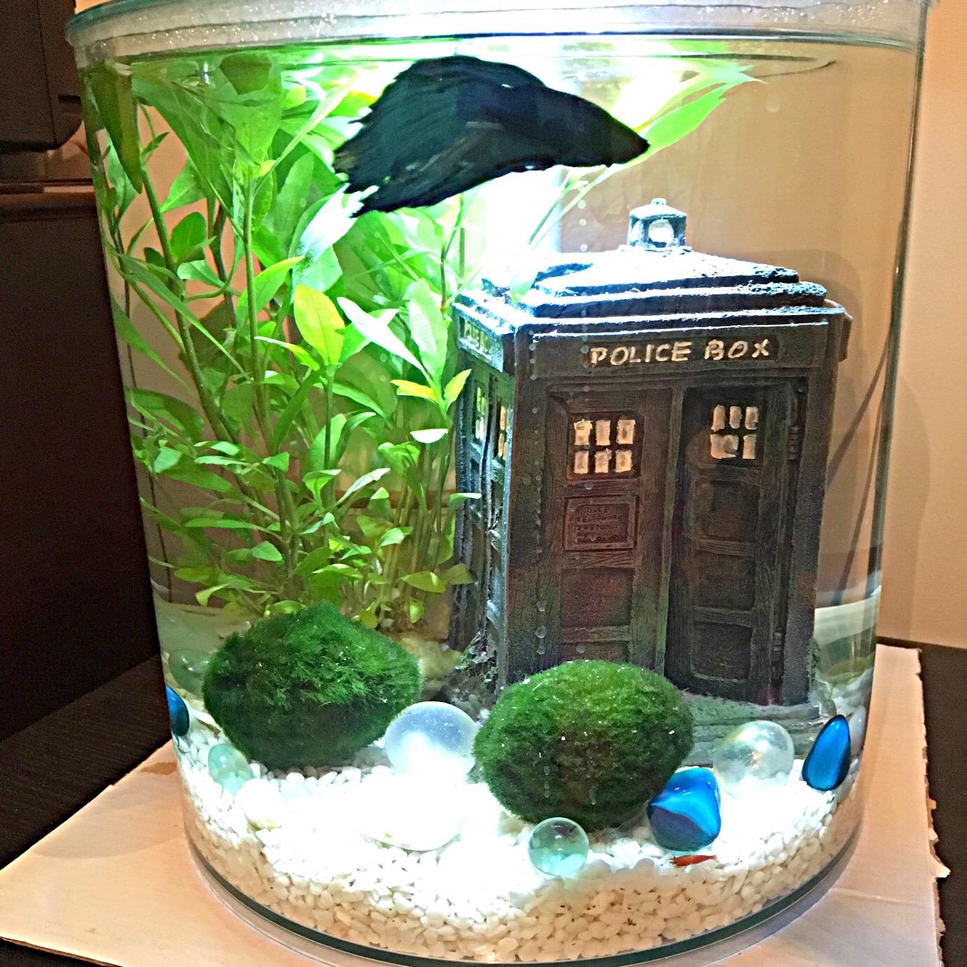 Ellie-Bo Police Box 11 x 10.5 x 17.5cm Handpainted Polyresin Aquarium ...