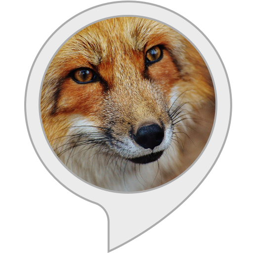 Amazon.com: I spy : Alexa Skills