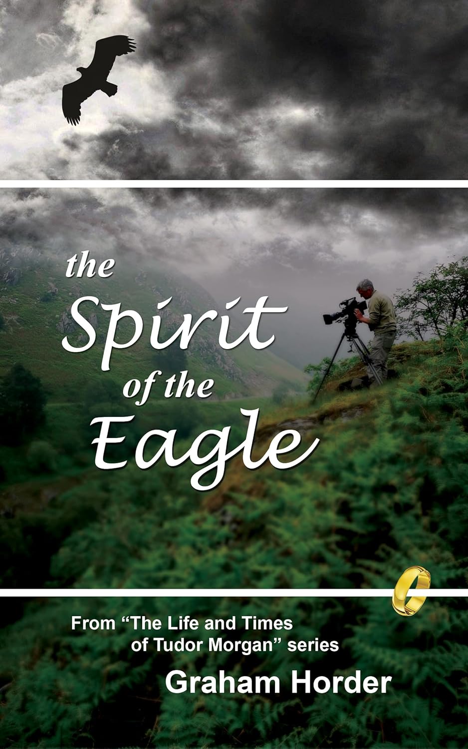 Amazon.com: The Spirit of the Eagle (The Life and Times of Tudor Morgan ...