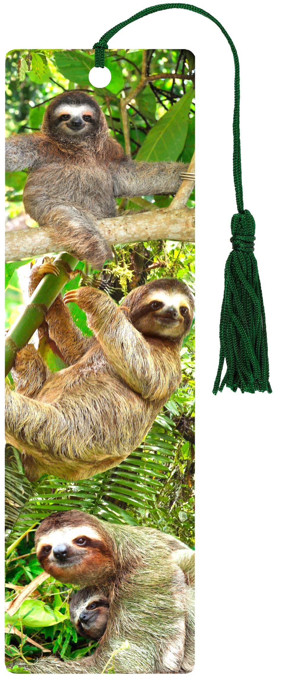 Sloths 3-D Bookmark (Lenticular Bookmark): Peter Pauper Press ...