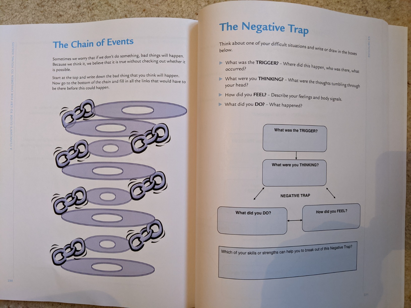 A Clinician's Guide to CBT for Children to Young Adults: A Companion to ...