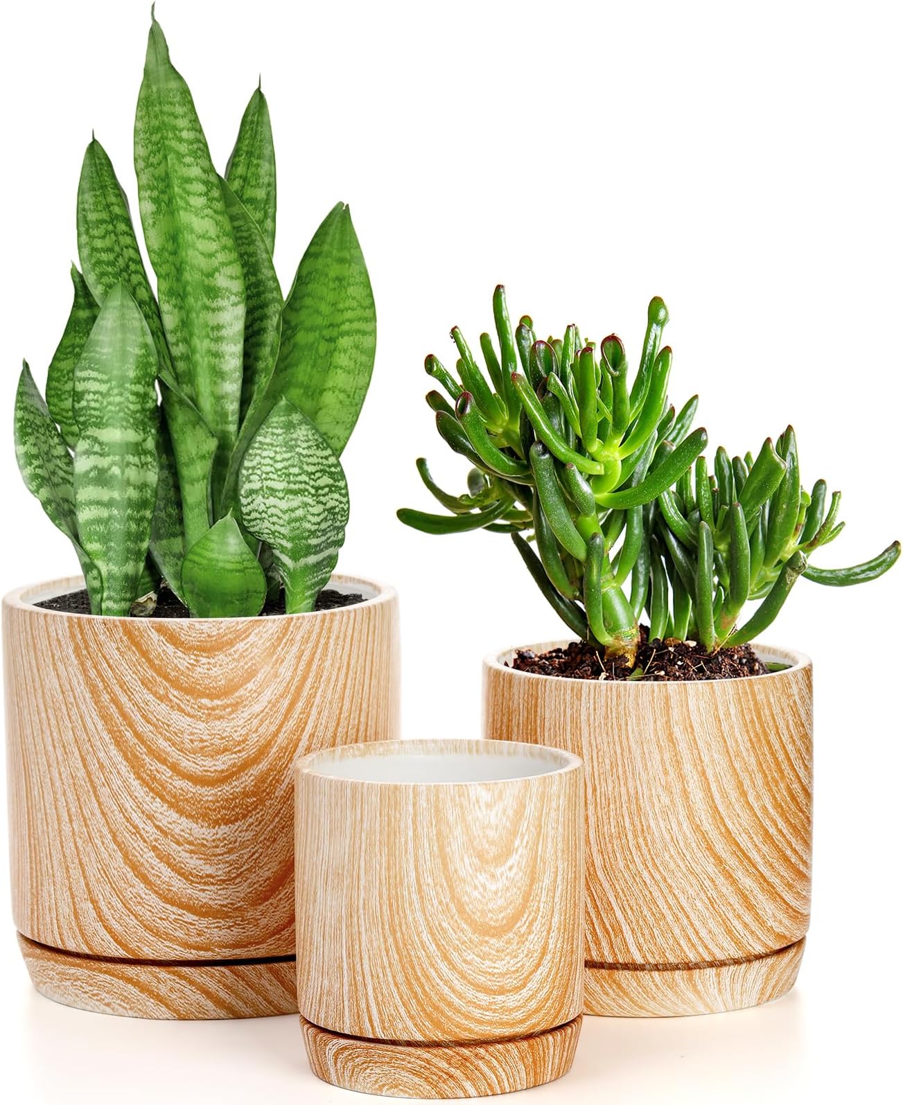 Amazon.com : homenote Plant Pots Indoor 6/4.8 inch Pack 2, Ceramic ...
