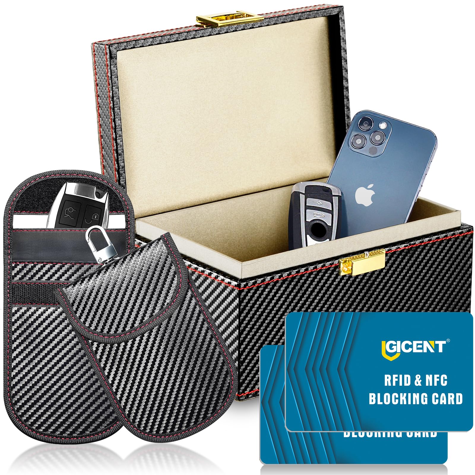 Amazon.com: CAR Anti Theft Faraday Box with 2 Pouches for Car Key Fob ...