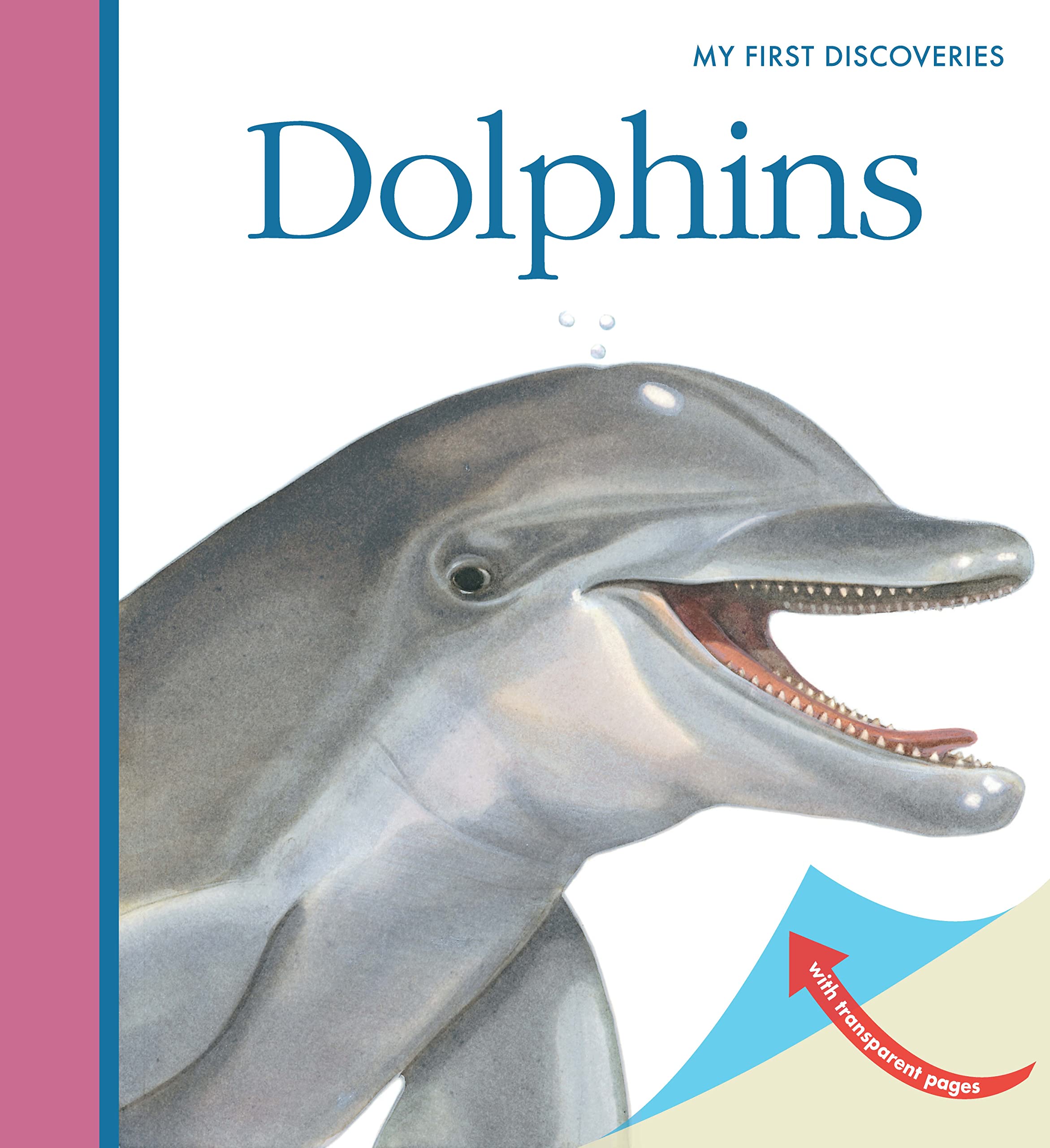 Dolphins (My First Discoveries): Peyrols, Sylvaine: 9781851034680 ...