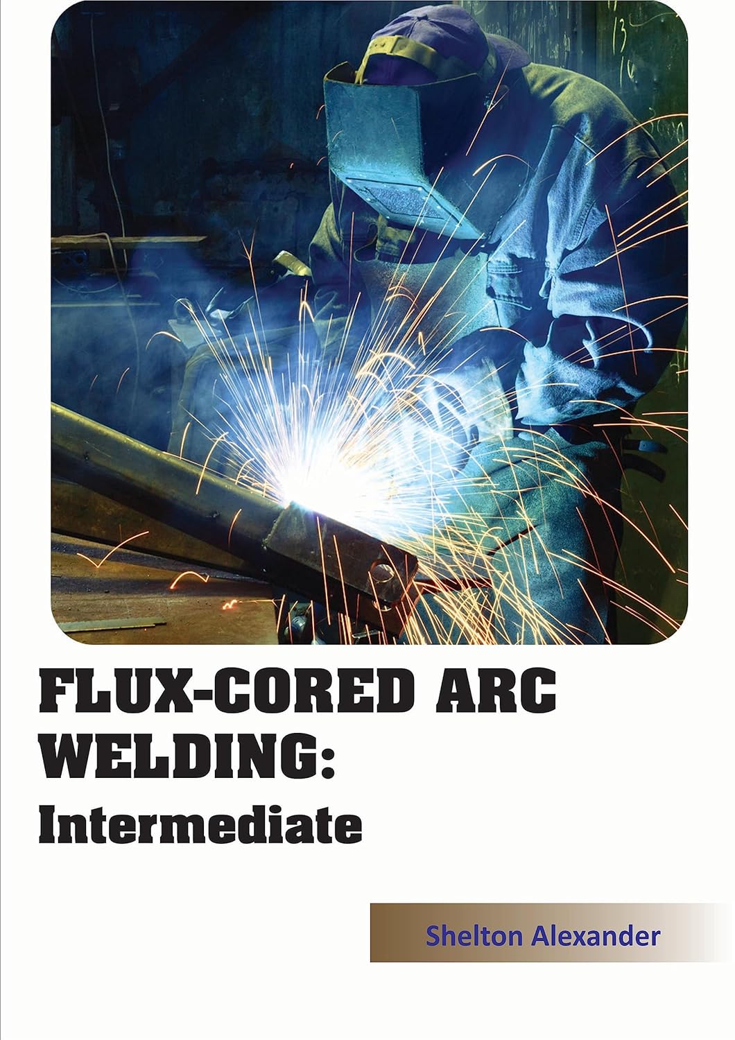 FLUX-CORED ARC WELDING : Intermediate (Book with DVD) (Workbook ...