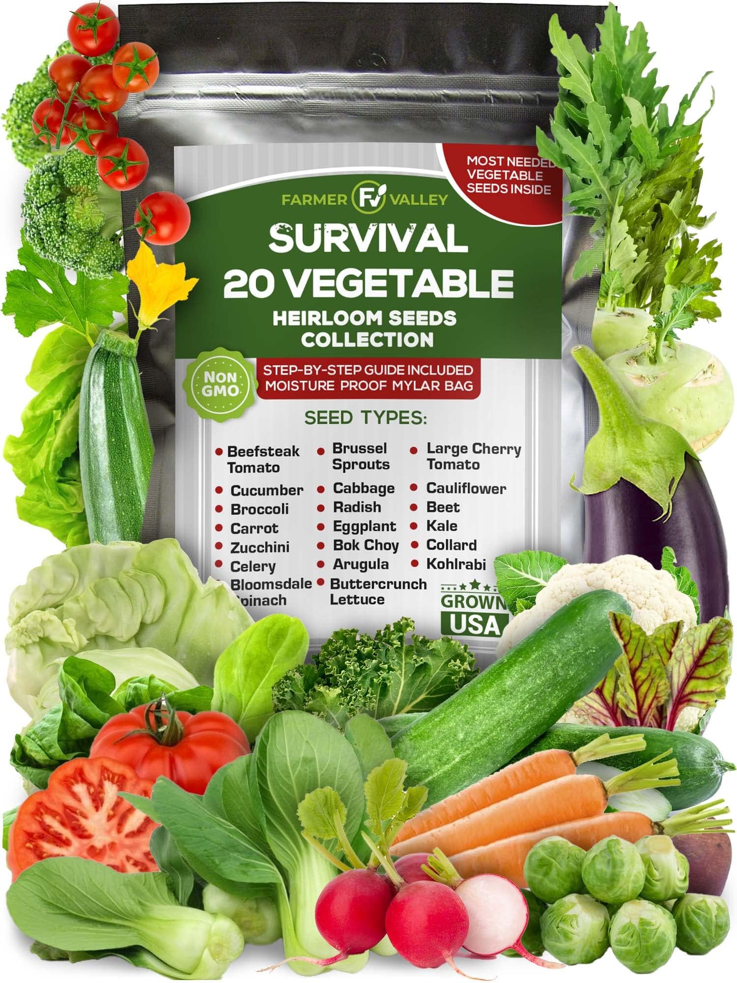 Amazon.com : Set of 20 Assorted Organic Vegetable Seeds & Herb Seeds ...