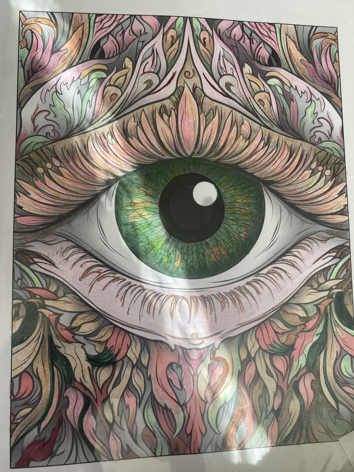 Amazon.com: Eyes of Wonder Coloring Book: An Adult Coloring Book ...