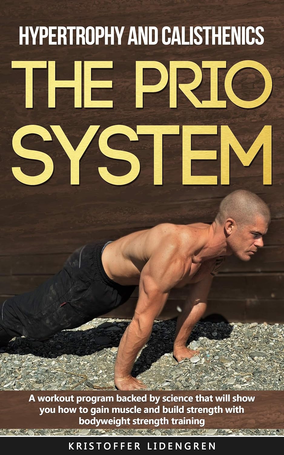 Amazon.com: Hypertrophy and calisthenics THE PRIO SYSTEM: A workout ...
