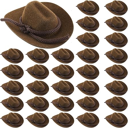 Amazon.com: Hercicy 36 Pcs Mini Cowboy Hats for Crafts Wedding Favors ...