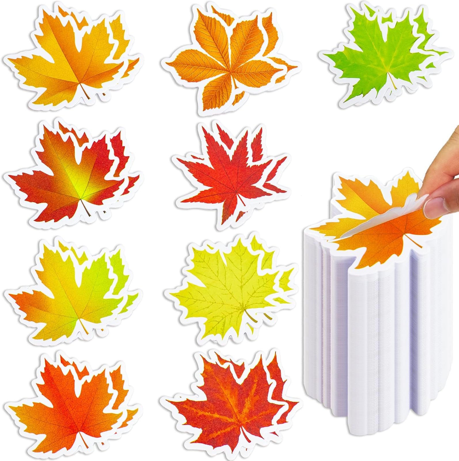Amazon.com : Geyee 24 Pack Fall Leaves Sticky Notepad Set with Pen for ...