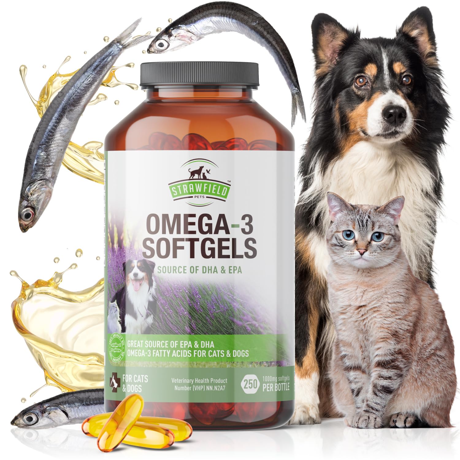 Are Fish Oil Capsules Good For Dogs Are Fish Oil Capsules Good For Dogs