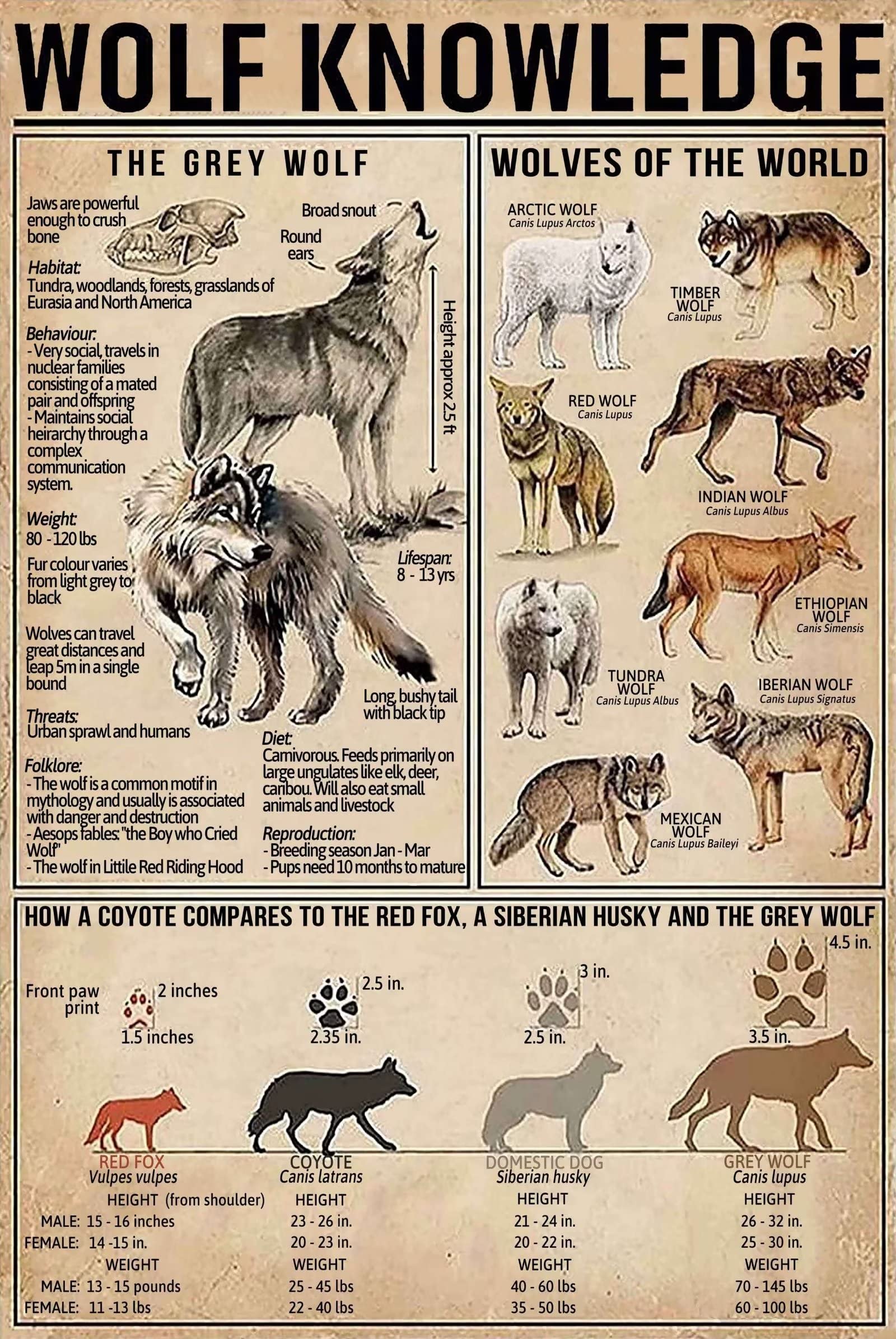 QWEQWEQ Wolf Knowledge Retro Metal Tin Sign Wolves Of The World Printed ...