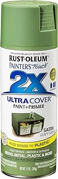 Rust-Oleum 249072 Painter's Touch 2X Ultra Cover Spray Paint, 12 oz ...