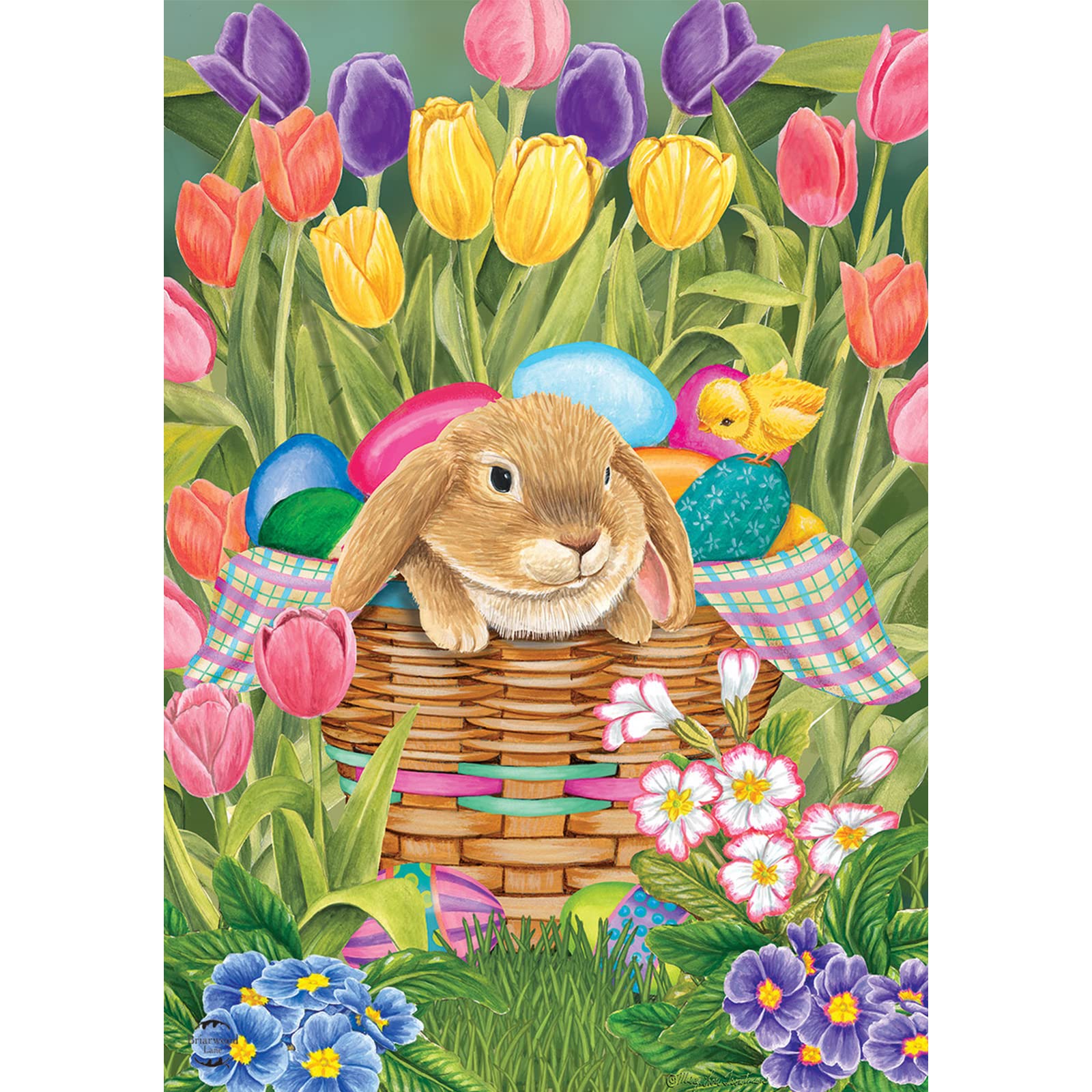 Amazon.com: NAIMOER Easter Bunny Diamond Art Kits for Adults - Full ...