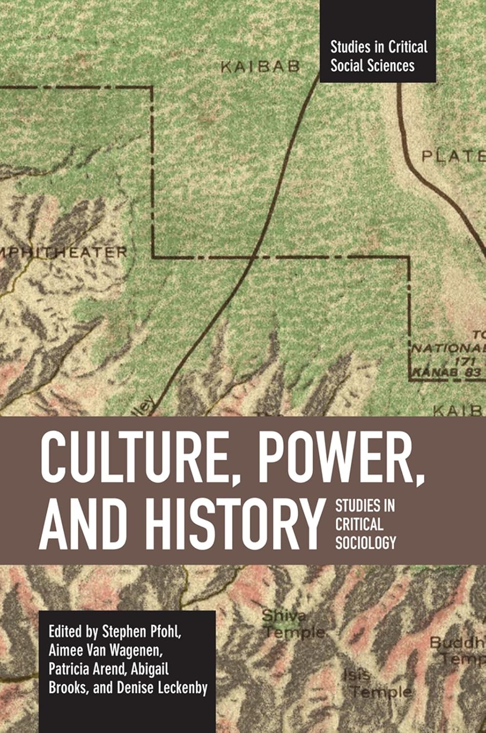 Culture, Power, and History: Studies in Critical Sociology (Studies in ...