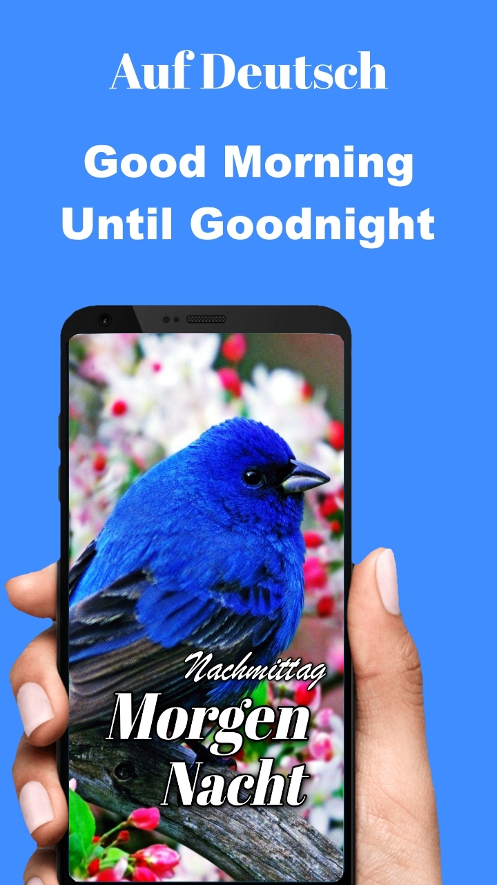German Good Morning Afternoon & Good Night Wishes Love - Aplicativo na ...