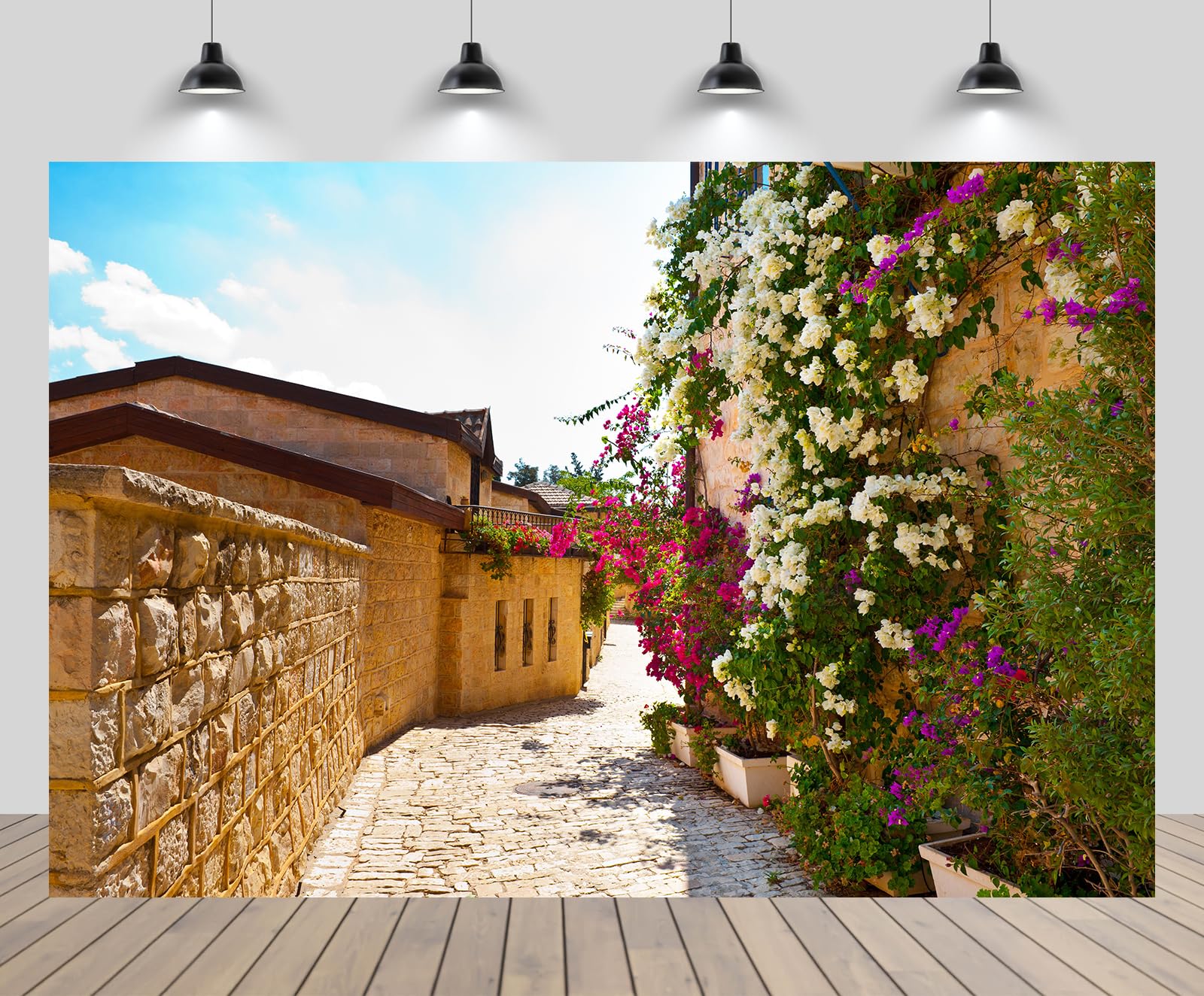 Amazon.com : CHNYWORK 7ftx5ft Jerusalem Old Narrow Street Backdrop ...