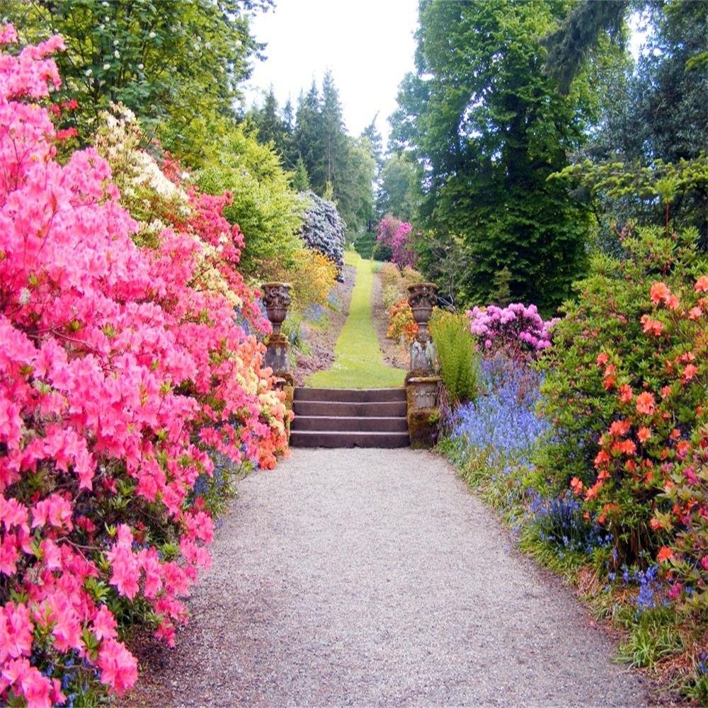 Amazon.com : AOFOTO 8x8ft Beautiful Spring Blossom Flower Photography ...