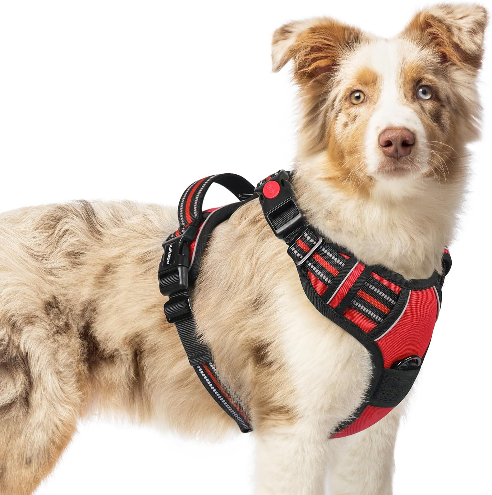 rabbitgoo Dog Harness Medium with Neck Release Buckle, Adjustable No ...