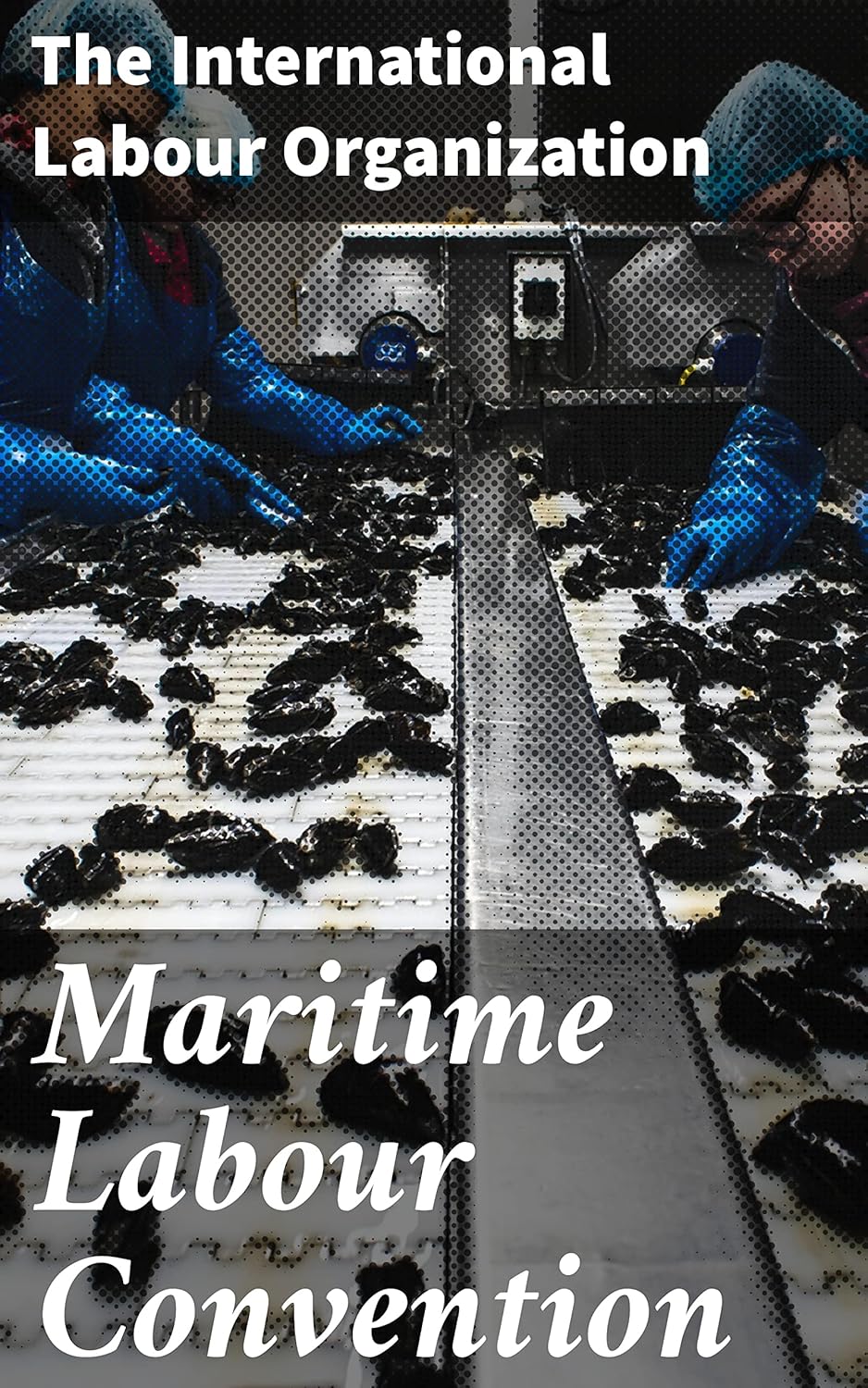Maritime Labour Convention: Navigating Maritime Labor Regulations: A ...